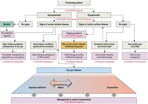 Dry Eye Overview Classification And Treatment Algorithm Clinical Tree