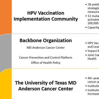Logic Model MD Anderson HPV Vaccination Initiative Phase IV Download Scientific Diagram