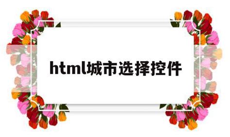 Html城市选择控件html的选择按钮代码 杂七乱八 源码村资源网