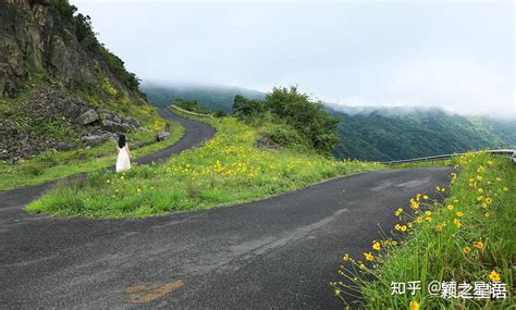 云端上的风车公路未来的宁波天池奈何大门封锁 知乎