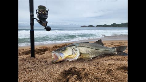Pesca De Robalos En Melaque Jalisco MX YouTube