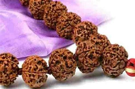 अद्भुत है रुद्राक्ष Rudraksh द साहित्य