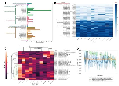 Identification Of Specialized Metabolic Pathways In M Dodecandrum A