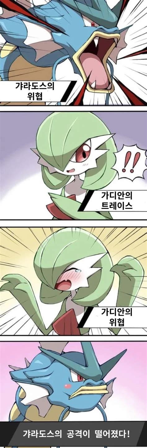 가디안의 트레이스 포켓몬 에펨코리아