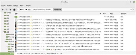 BUG 下载的很多都是一个空的文本文档 Issue 235 Johnserf Seed TikTokDownload GitHub