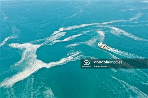 Marmara Denizindeki müsilaj havadan görüntülendi Anadolu Ajansı