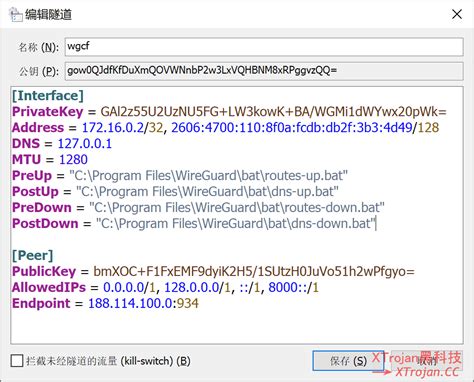 Windows Wireguard Xtrojan