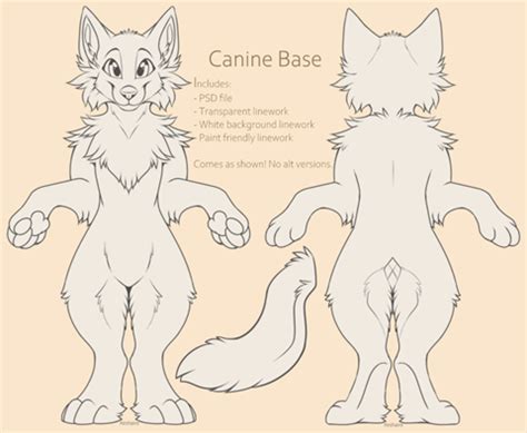 Canine Ref Sheet Base Sachi Xeshaire S Ko Fi Shop Ko Fi Where