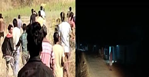 तेंदुआ के बाद अब बाघ की दहशत गढ़वा के बड़गड़ में इंसानी बस्ती तक