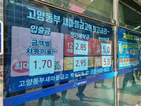 새마을금고 예금 적금 금리 이율 확인 방법 새마을금고 예금자보호 회원 조합원 가입 조건 세금우대 네이버 블로그