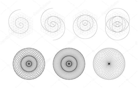 Conjunto De Elementos Geométricos Y Formas Geometría Sagrada Torus