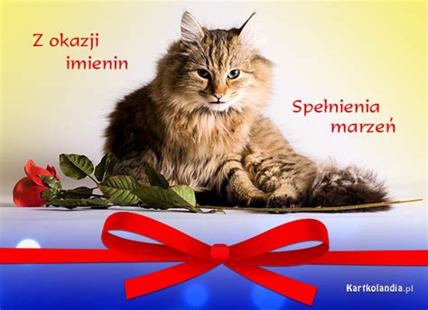 Darmowa kartka Kartka z życzeniami Imieniny