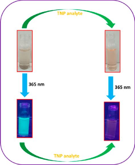 Schematic Showing The Calorimetric And Fluorimetric Detection Of The