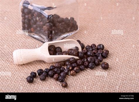 Photo Showing Juniper In Measuring Containers With A Wooden Scoop Stock