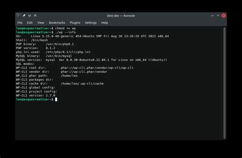 How To Install WP CLI On Ubuntu Esque Creative