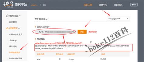 wordpress站点如何实现发布文章即主动推送到神马搜索引擎？ 神马 站长 推送收录 csdn博客