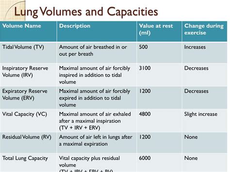 Ppt Lung Function Powerpoint Presentation Free Download Id2459873