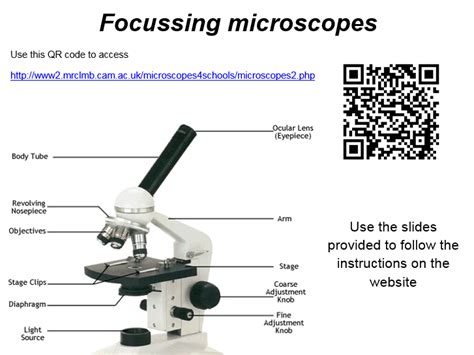 Aqa A Level Biology Microscopy Teaching Resources