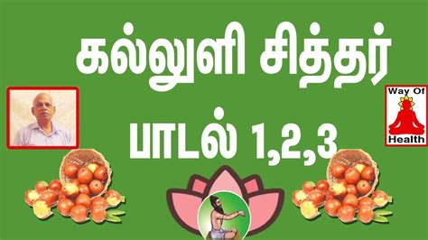 கல்லுளி சித்தர் பாடல் 1 3 கல்லுளி சித்தர் பாடல்கள் விளக்கம்