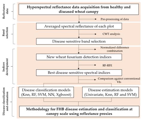 Remote Sensing Special Issue Crop Biophysical Parameters Retrieval Using Remote Sensing Data