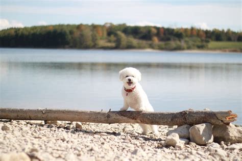 Structured Logging And Azure Log Analytics By Jordan Lee Level Up Coding