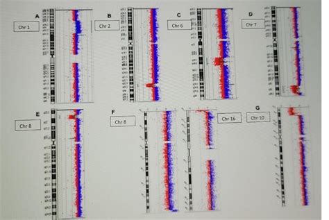 31 Give The Basic Methodology Of Cgh Array 32