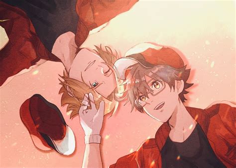 Hataraku Saibou Danbooru