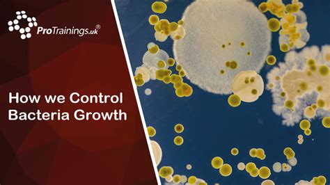 How We Control Bacteria Growth Food Safety Level 2 Vtq Online