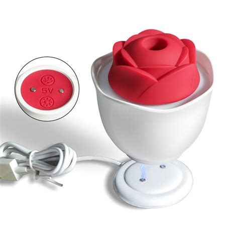 Rose Toy Charging Accesories Rose Toy Official Store