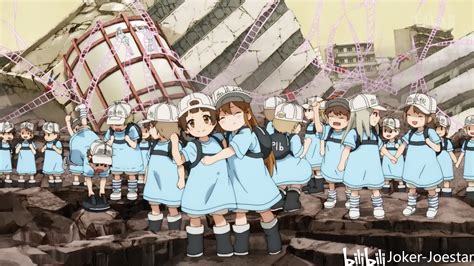 工作细胞动画第二季科普合集 哔哩哔哩