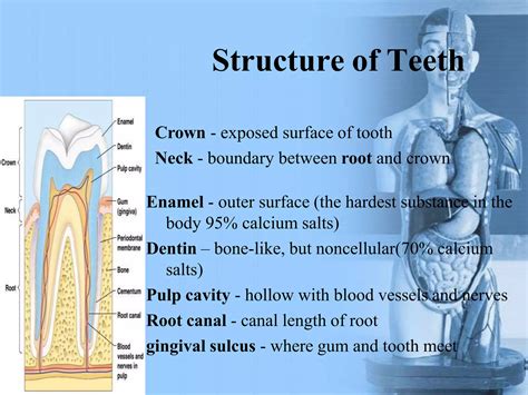 Git Nursing Updattedpptx
