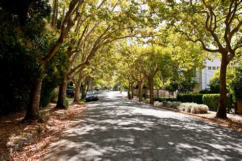 Street Sweeping Starts March 1 San Rafael