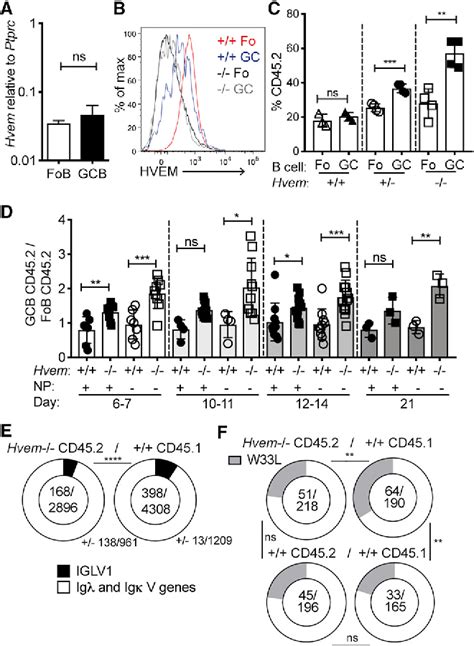 Figure From The HVEM BTLA Axis Restrains T Cell Help To Germinal Center B Cells And Functions