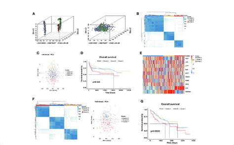 Three Distinct Cuproptosis Subtypes Are Divided By Consensus