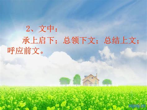 《小学语文阅读题答题技巧》课件 教习网课件下载