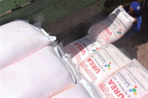 Pupuk Indonesia Siap Distribusikan 760 902 Ton Stok Pupuk Bersubsidi