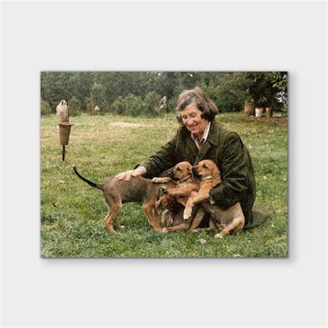 Dzrr Die Deutsche Züchtergemeinschaft Rhodesian Ridgeback Ev