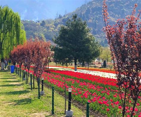 15 Of The Most Magnificent Gardens In India Wildlifezones