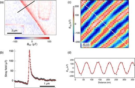 Single Spin Magnetometry And Relaxometry Applied To Antiferromagnetic