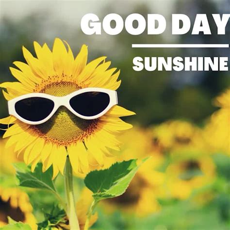 Good Morning Sunshine Meme