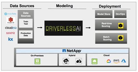 Democratize Ai With H2o Driverless Ai And Netapp Cloud Volumes Service
