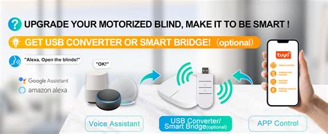 Amazon Allesin Motorized Roller Blinds With Remote Control For Windows Blackout Smart