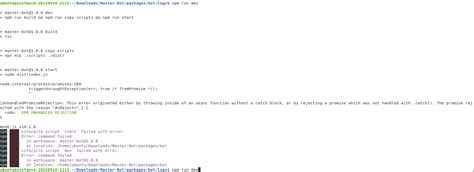 Unable To Start Up Bot · Issue 768 · Galnirmaster Bot · Github