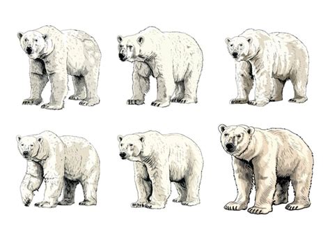 색 배경에 고립된 북극 터 일러스트레이션 프리미엄 Ai 생성 벡터