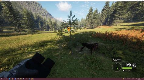 The Hunter