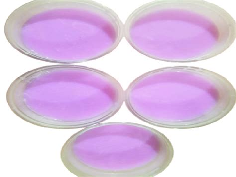 Visualization Of Instant Pudding Download Scientific Diagram