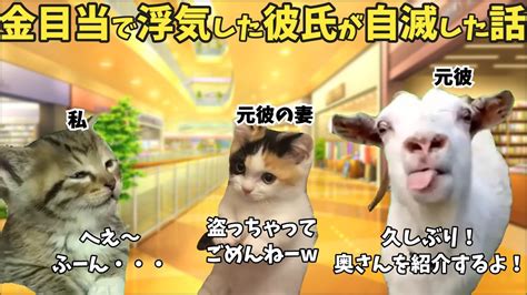 浮気していた元彼が自滅して私の人生が好転した話【猫ミーム】 Youtube