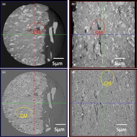 Same Areas Imaged By Absorption Scans And Phase Contrast Scans In Download Scientific Diagram