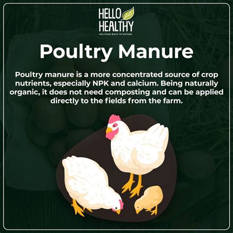 This Is Our Endeavor To Raise Awareness About Organic Farming Take A