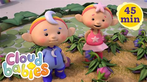 Planting Watering And Growing In The Sky Garden 🪴 Cloudbabies